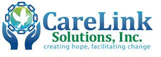 Carelink Solutions Inc Orientation and Training Program